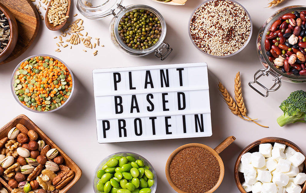 10 Best Sources of Plant Based Protein for Everyday – RiteBite Max Protein