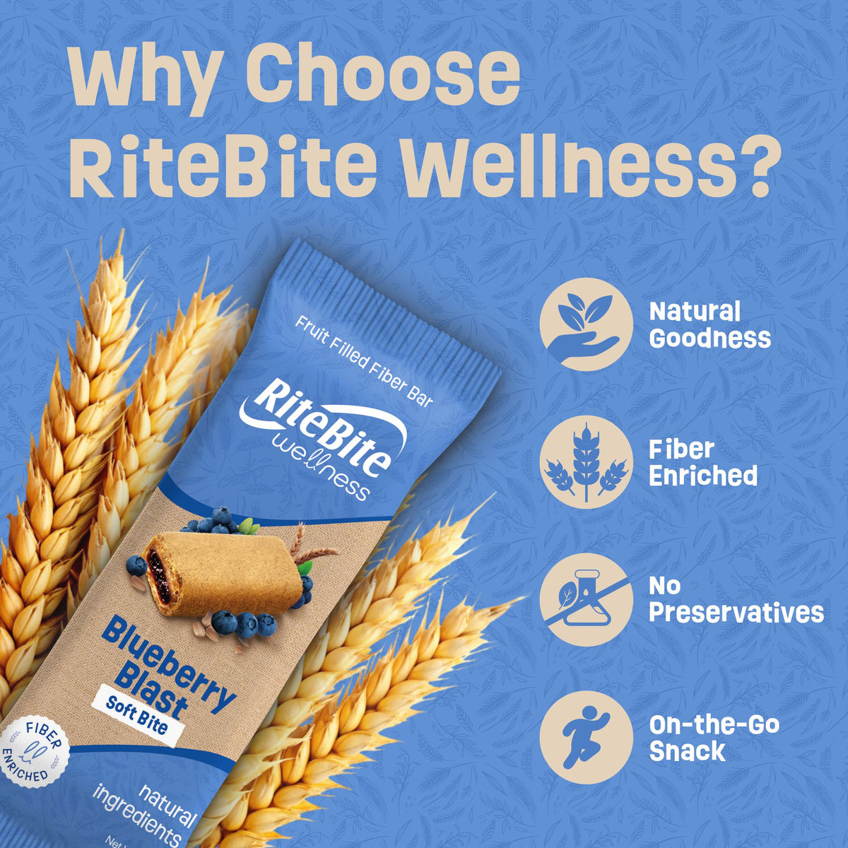 Ritebite Wellness Blueberry Blast – RiteBite Max Protein